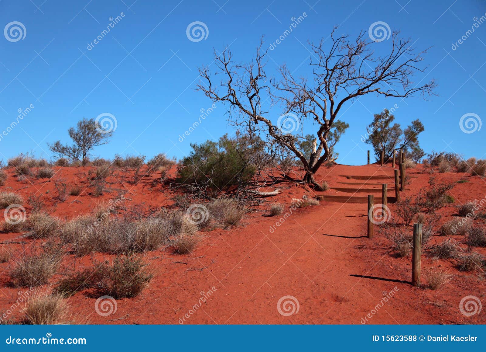 Australian desert stock photo. Image of scenic, vegetation - 15623588