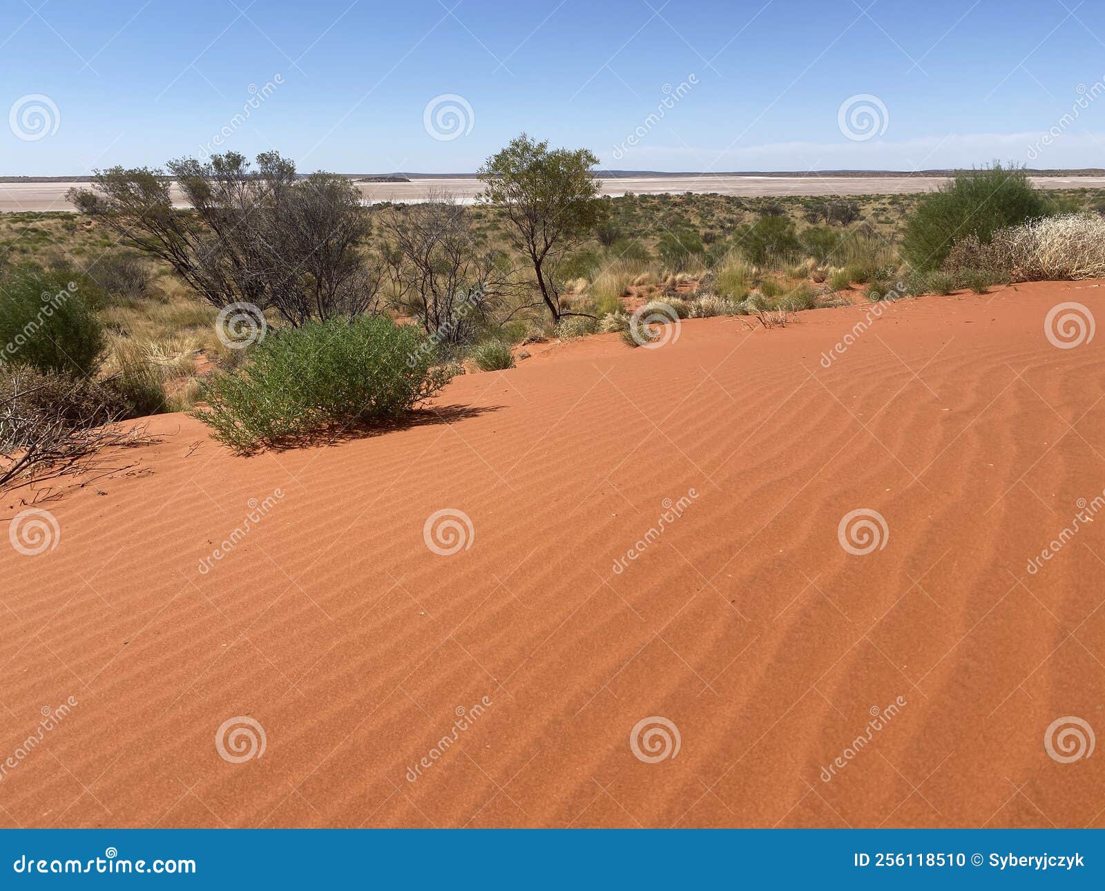 Australian Desert Near Uluru Stock Photo - Image of dunes, outback ...