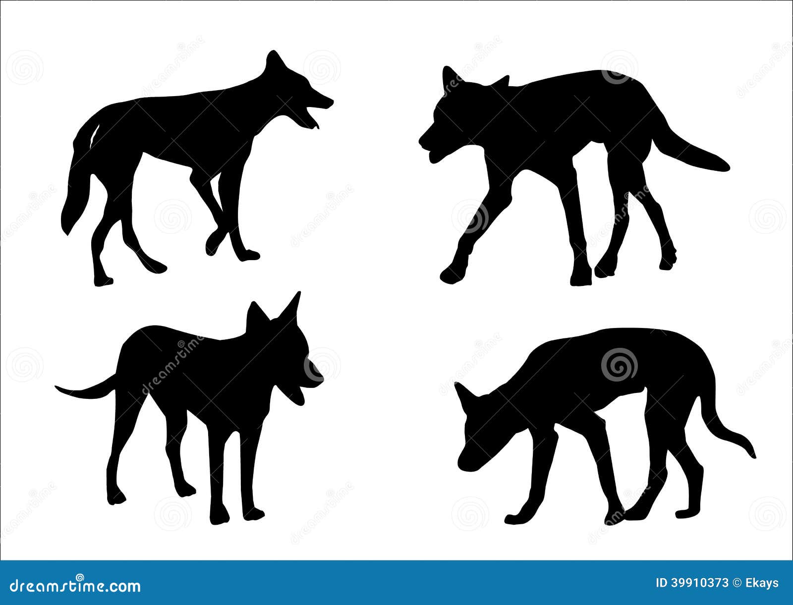 Silhouette Of Australian Dingos White Background Cartoon Vector ...