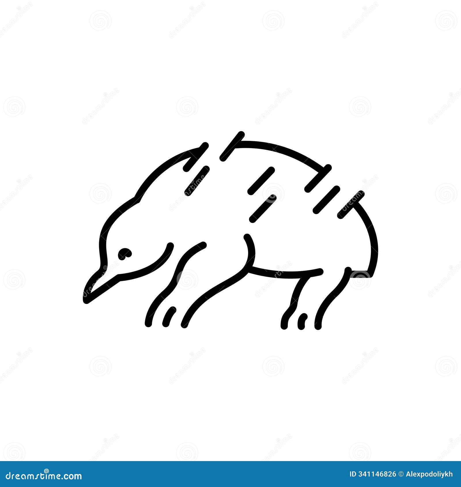 Australian Echidna Black Line Illustration. Animals of Australia Stock ...