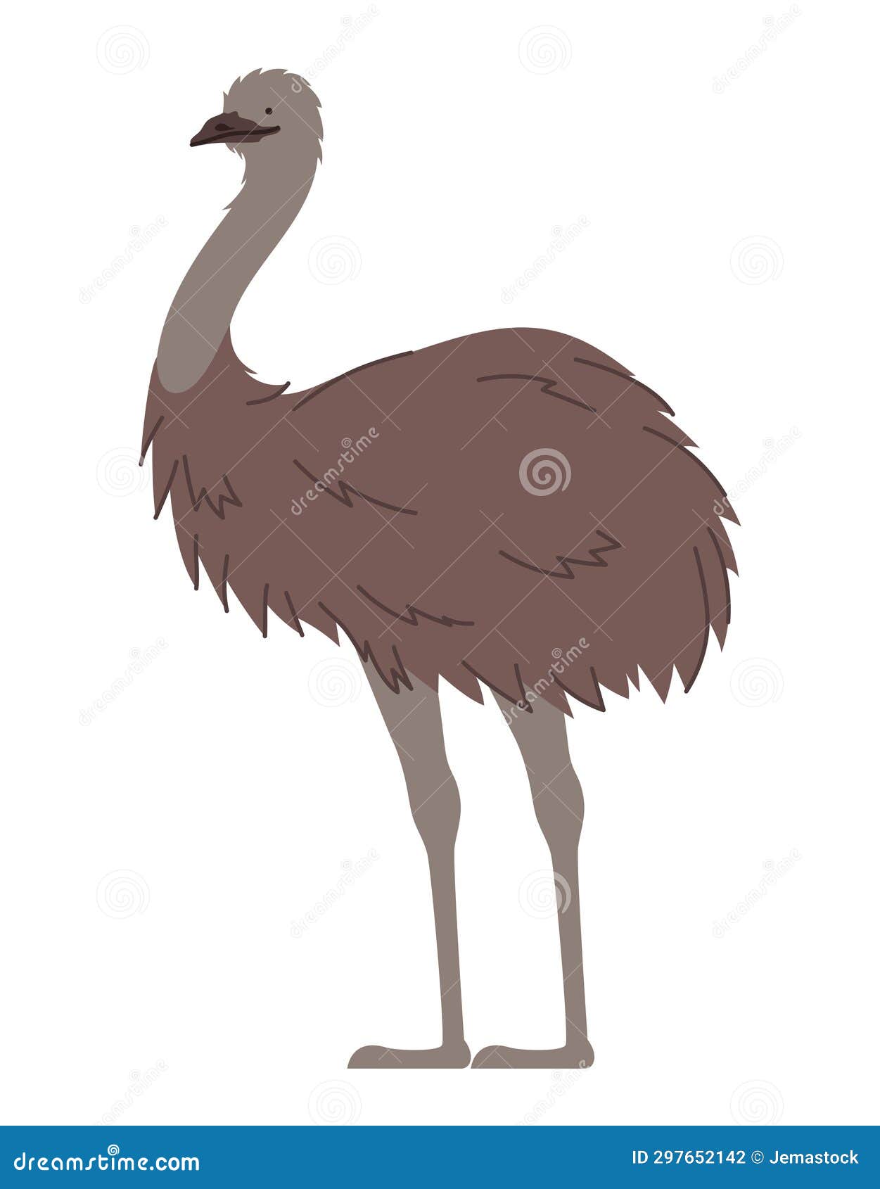 Australian emu animal stock illustration. Illustration of flying ...