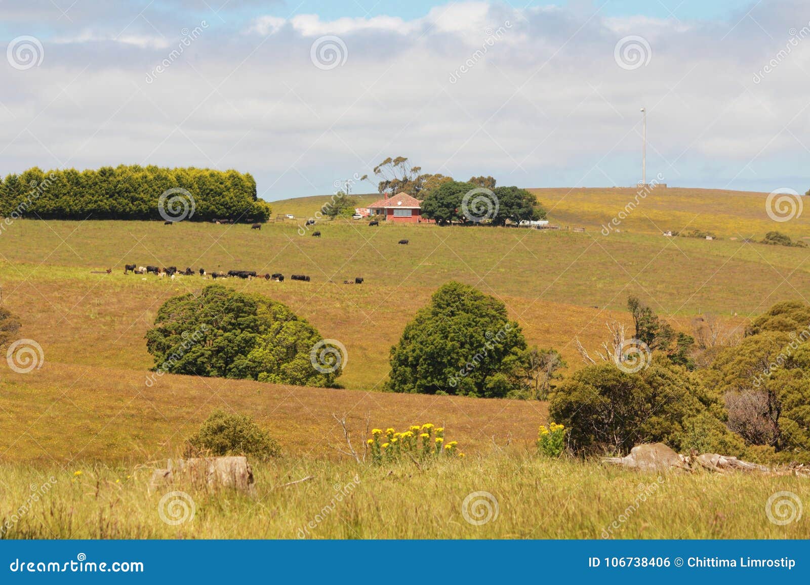 Australian farm land stock photo. Image of farm, south - 106738406