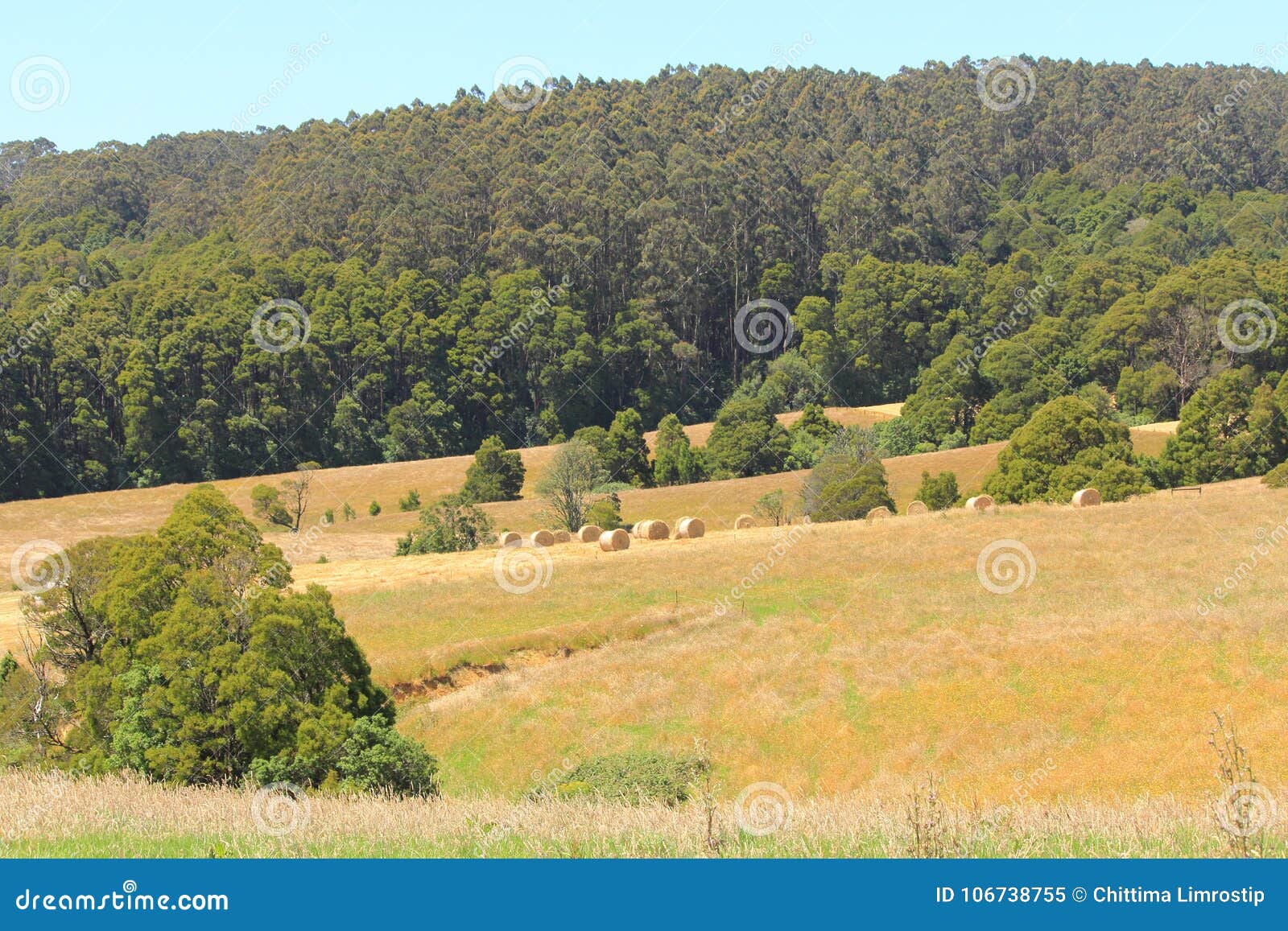 Australian farm land stock image. Image of ranges, countrye - 106738755