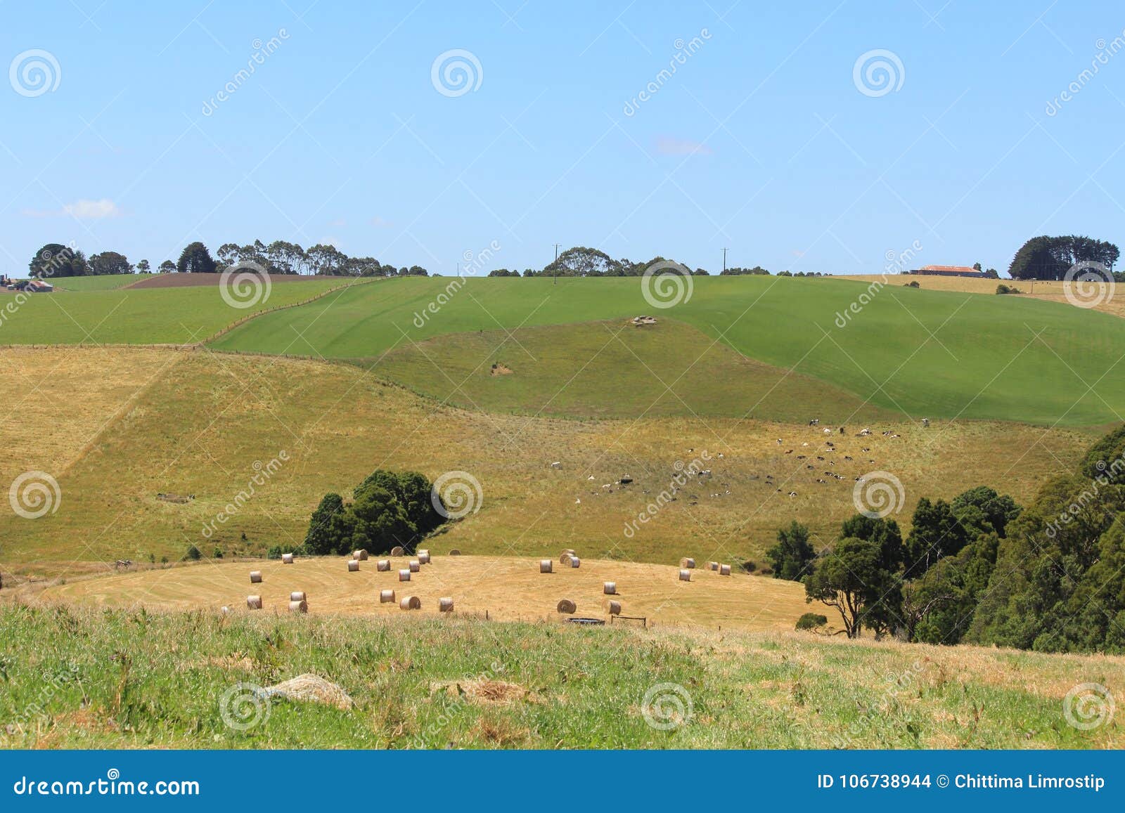 Australian Farm Land Stock Photo | CartoonDealer.com #106738944