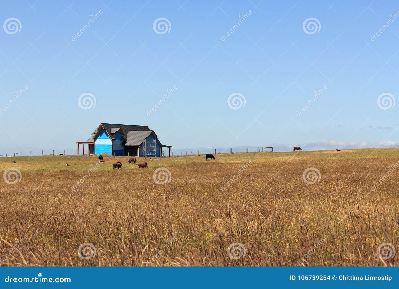 Australian farm land stock photo. Image of house, ranges - 106739254