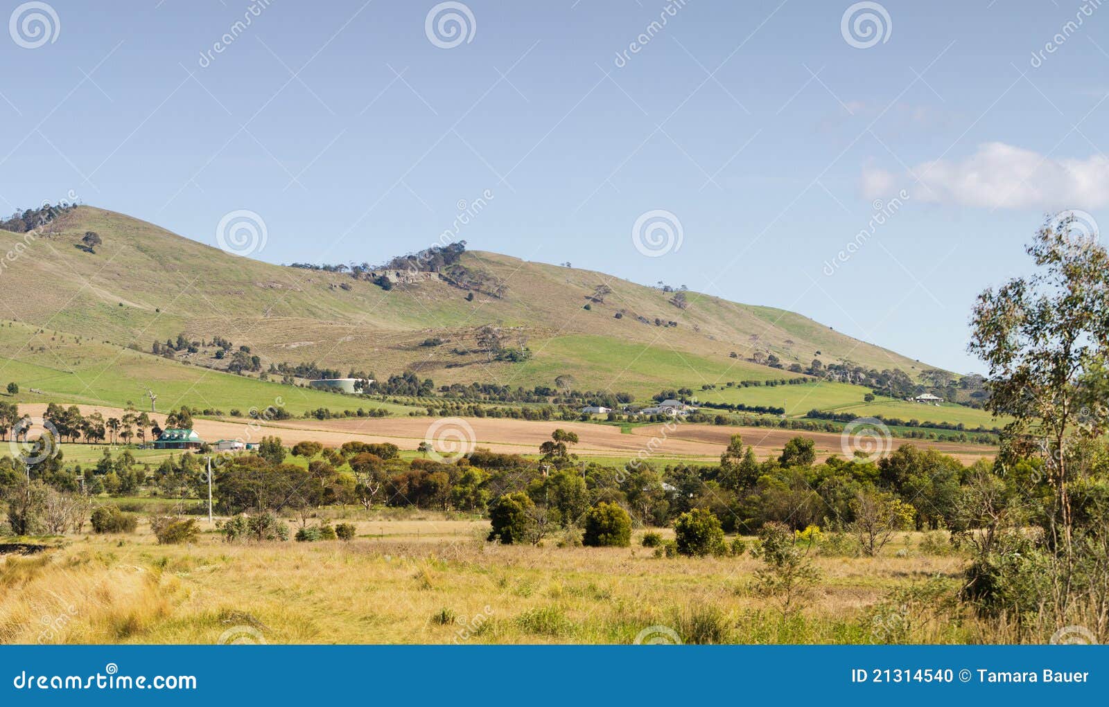 Australian farmland stock photo. Image of outdoor, nature - 21314540