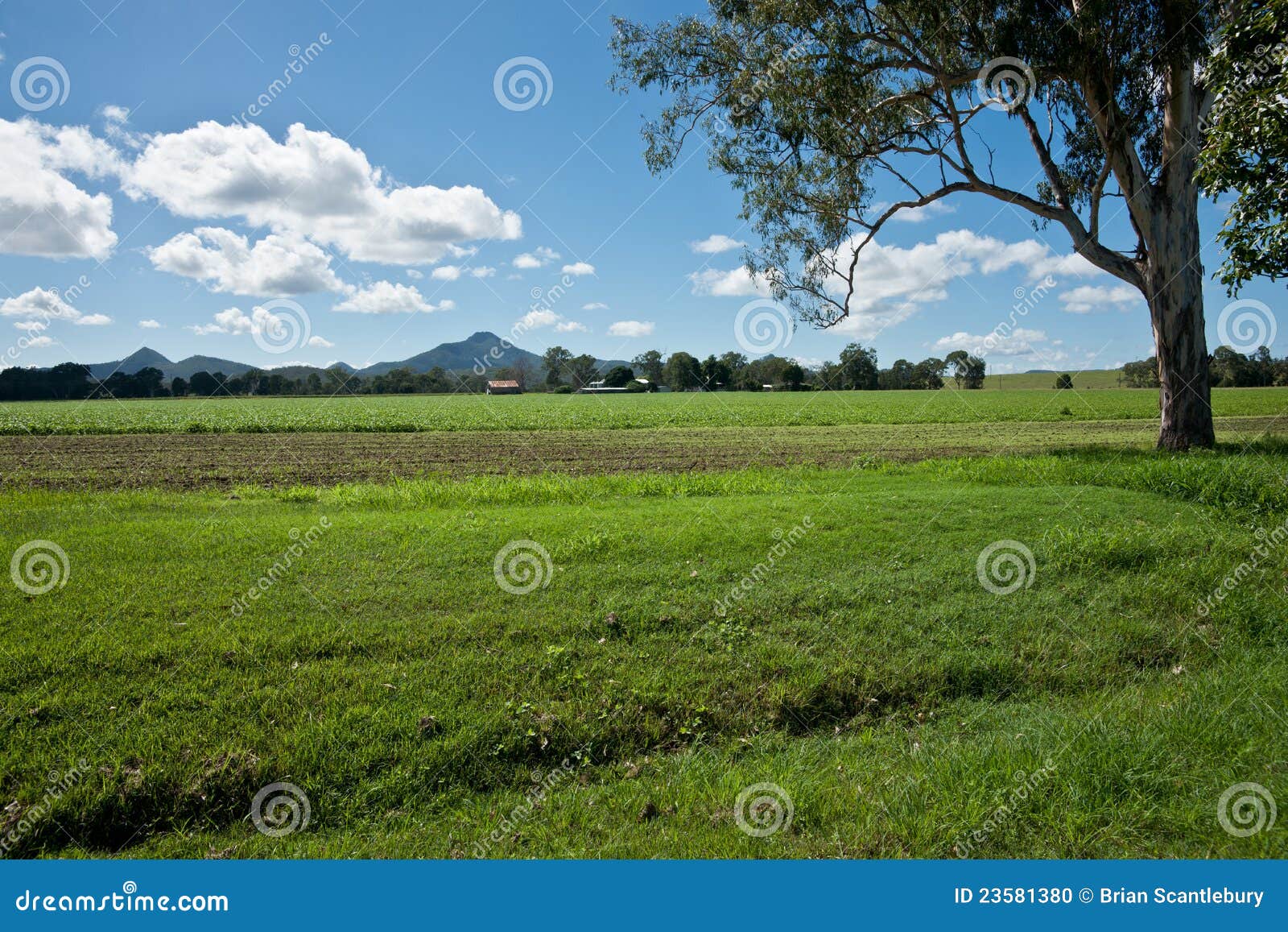 Australian farmland. stock photo. Image of green, crossing - 23581380