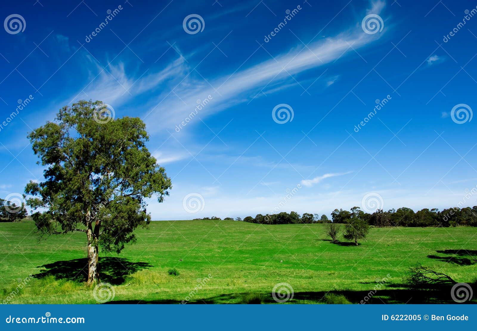 Australian Farmland stock image. Image of outdoor, lonely - 6222005
