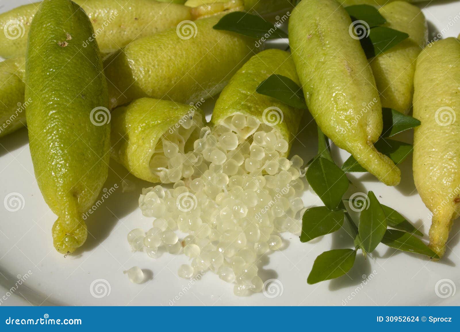 Australian Finger Limes stock photo. Image of flavour - 30952624