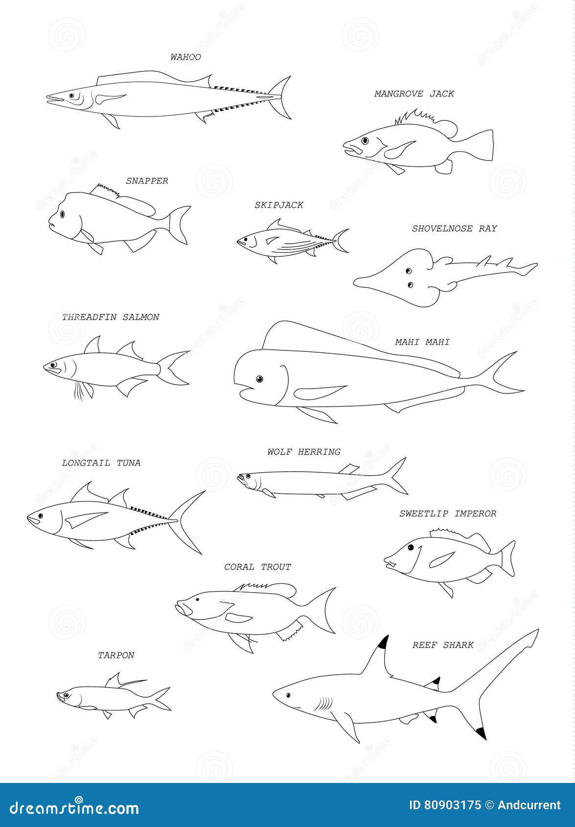 Australian Fish Silhouette. Vector Set. | CartoonDealer.com #80914458