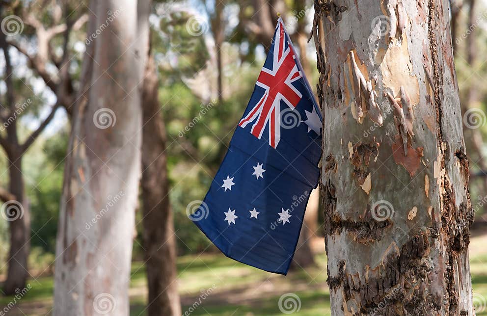 Australian flag in trees. stock image. Image of union - 18382081