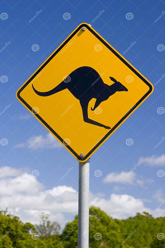 Australian Kangaroo sign stock photo. Image of wallaby - 538774