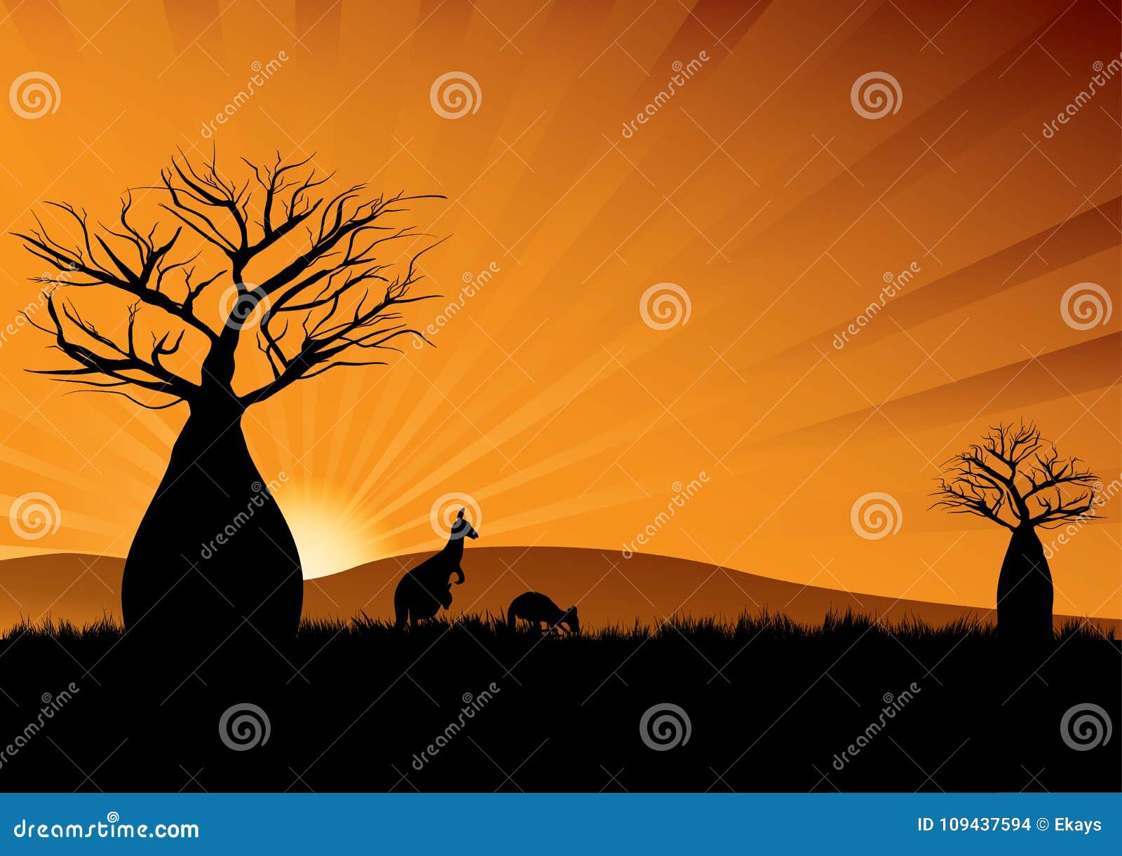 Australian Sunset With Kangaroos And Pandanus Trees Vector Illustration ...