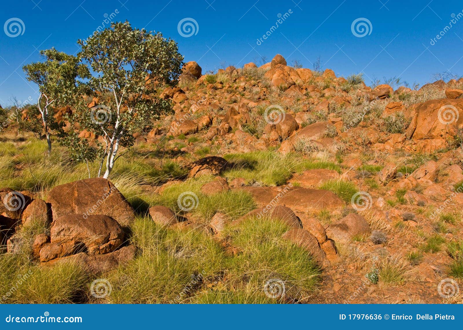 Australian landscape stock photo. Image of nature, land - 17976636