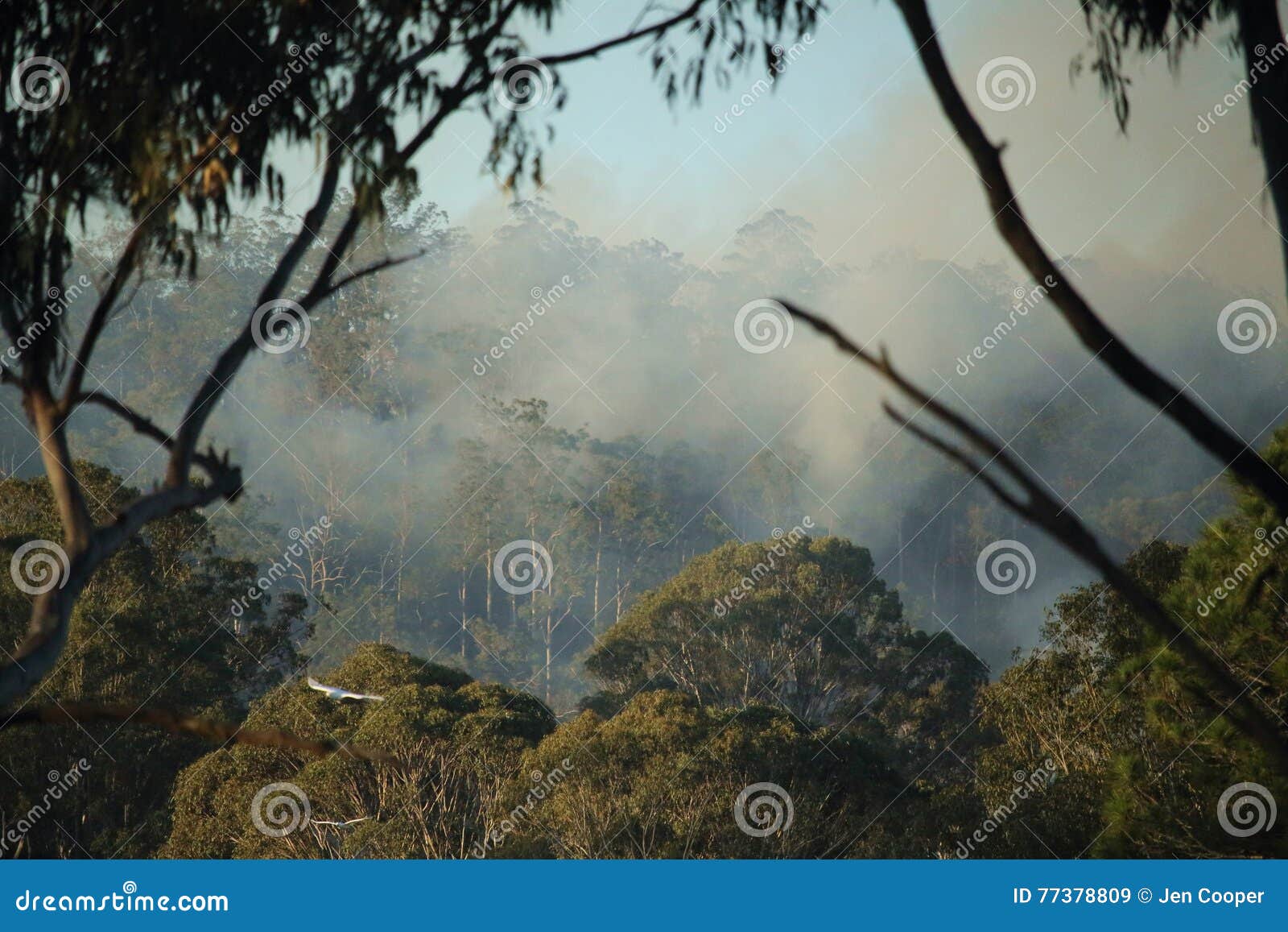 Australian Landscape with Smoke. Stock Image - Image of northern ...