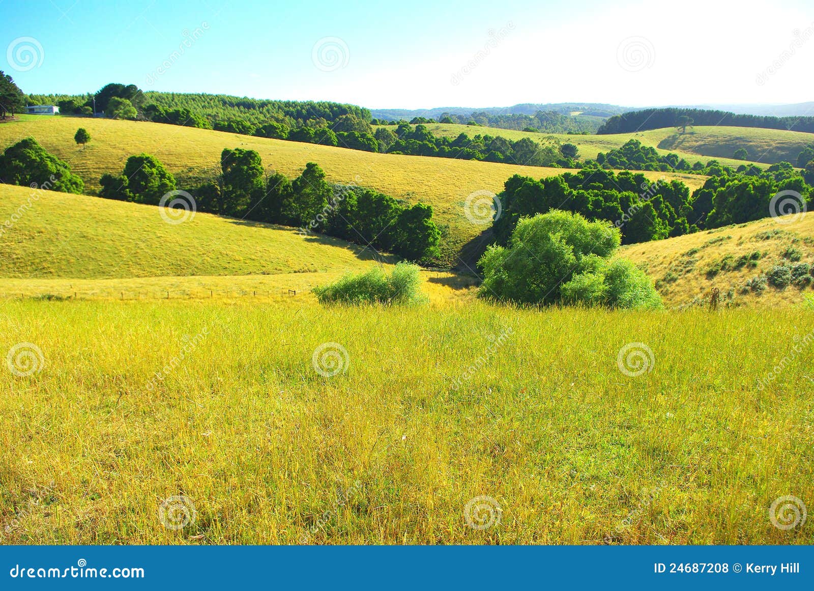 Australian Landscape in Summer Stock Photo - Image of outback, travel ...