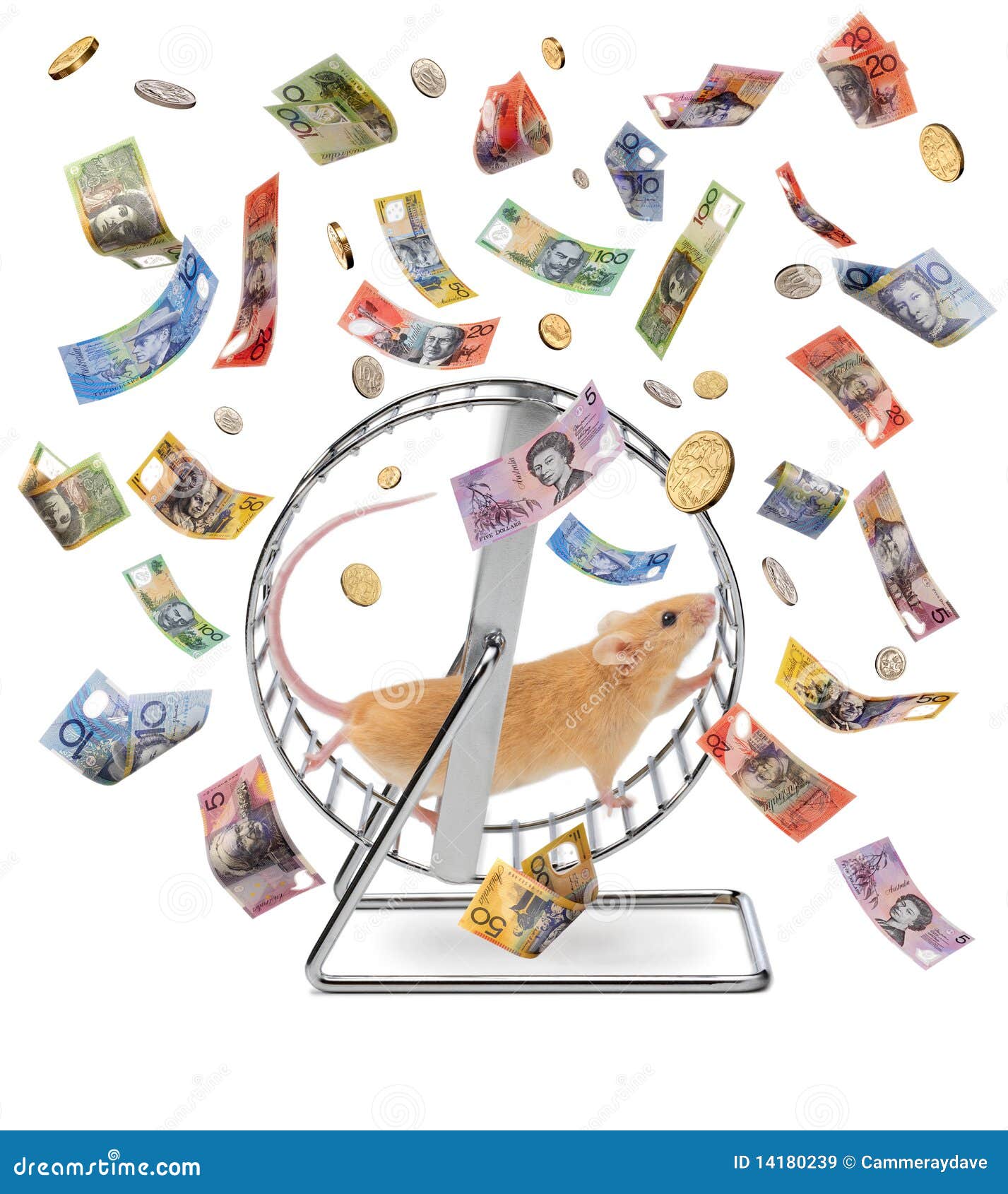 Hamster Falling Down. Epic Fail, Downfall Stock Photography ...