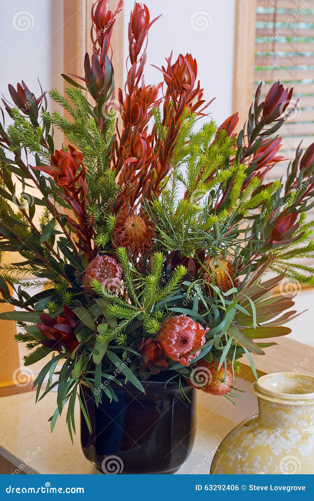 Australian Native Flowers in a Vase Stock Photo - Image of australia ...