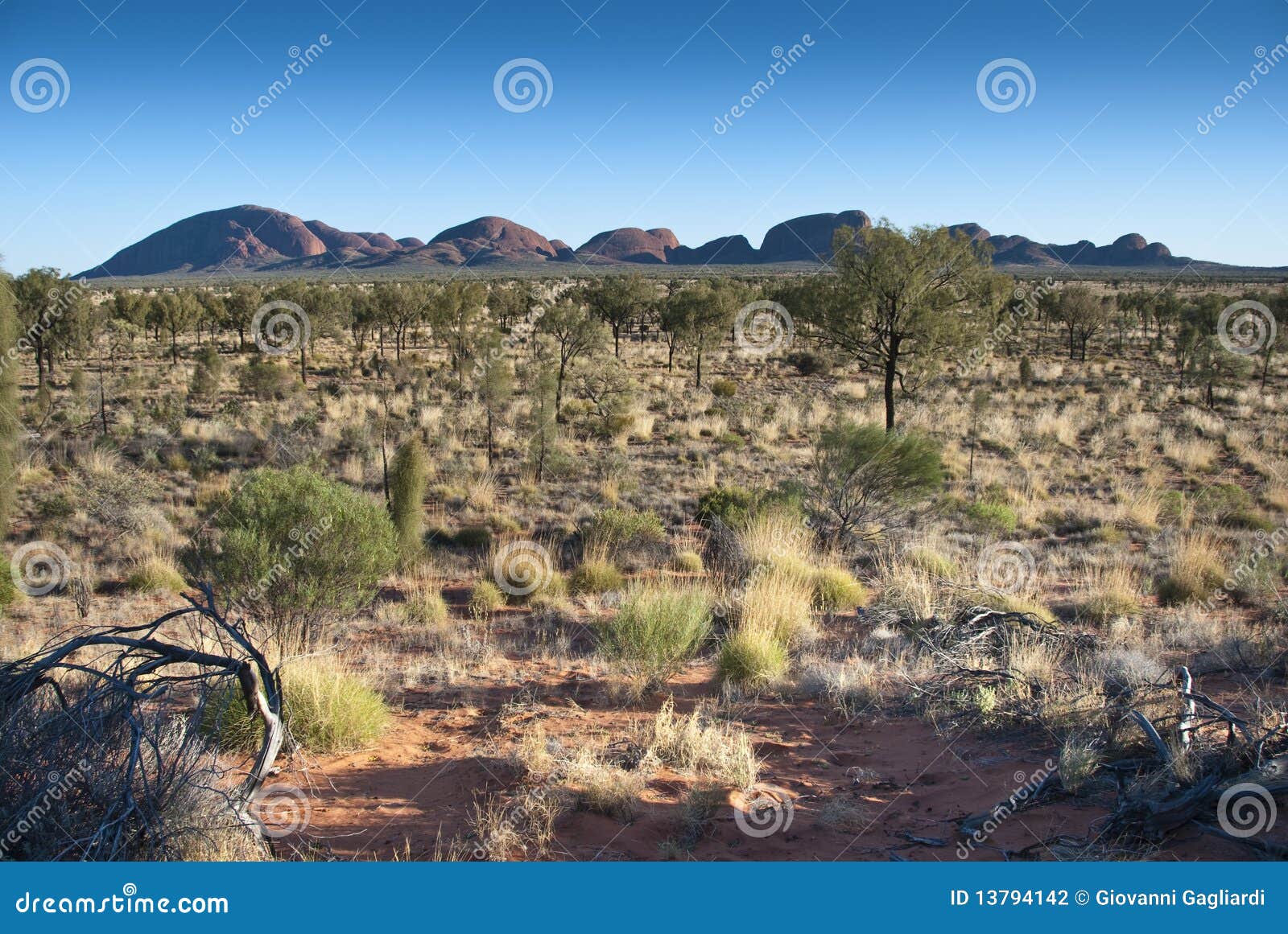 Australian Outback stock photo. Image of vista, nature - 13794142