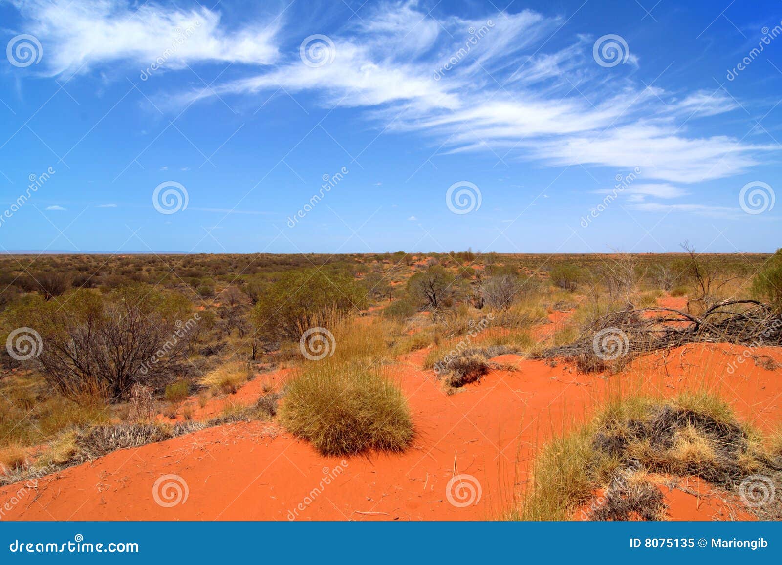 Australian Outback Bush
