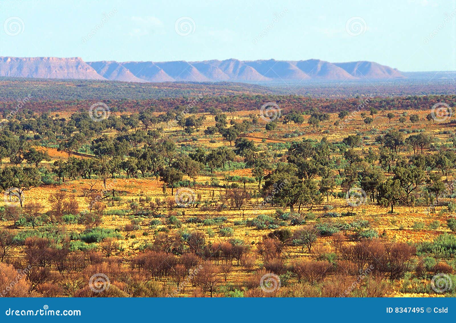 Australian outback stock image. Image of green, lookout - 8347495