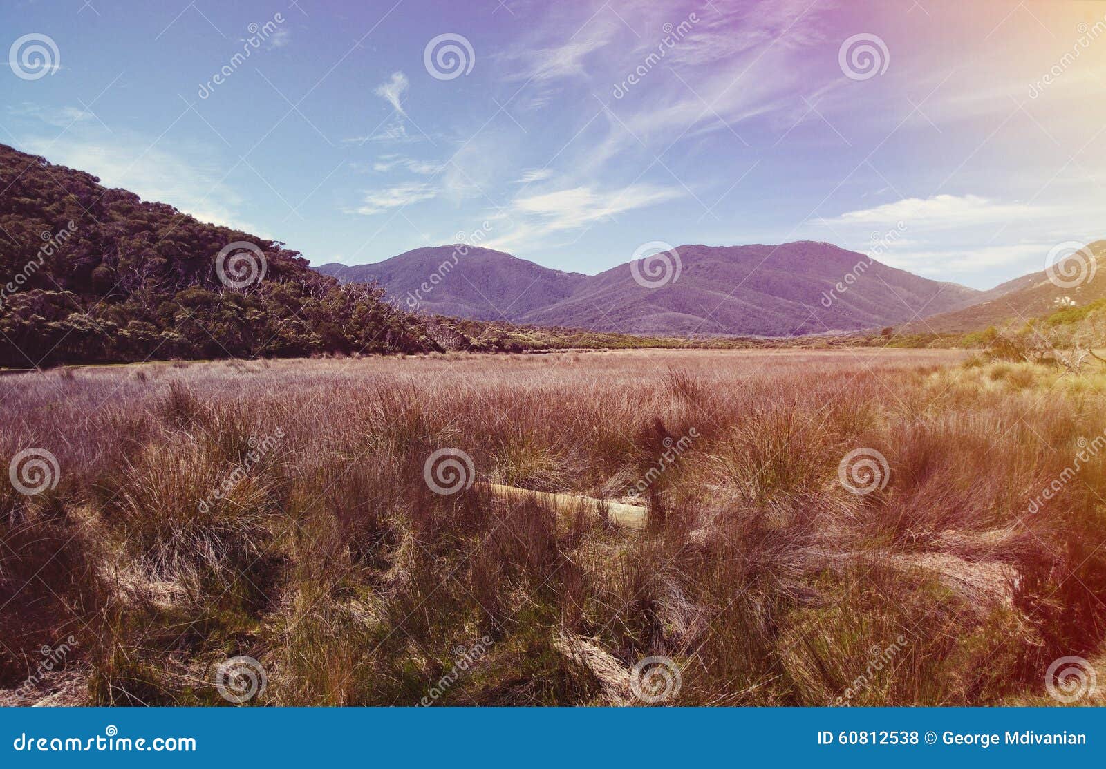 Australian outback stock photo. Image of scenery, clouds - 60812538