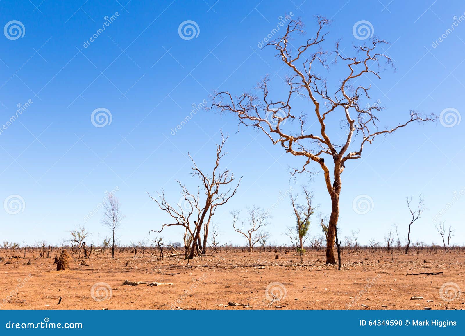 The Australian Outback stock photo. Image of destination - 64349590