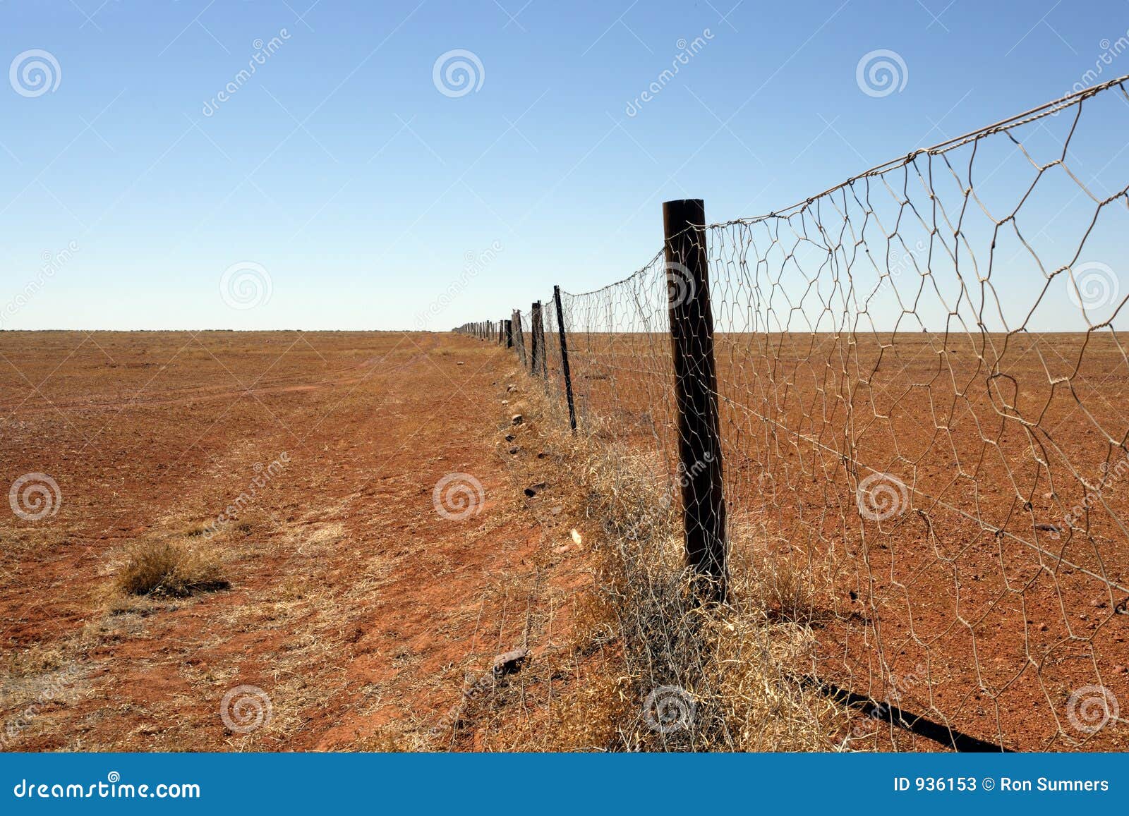 Australian Outback Dingo Fence Stock Image - Image of desert, fence: 936153
