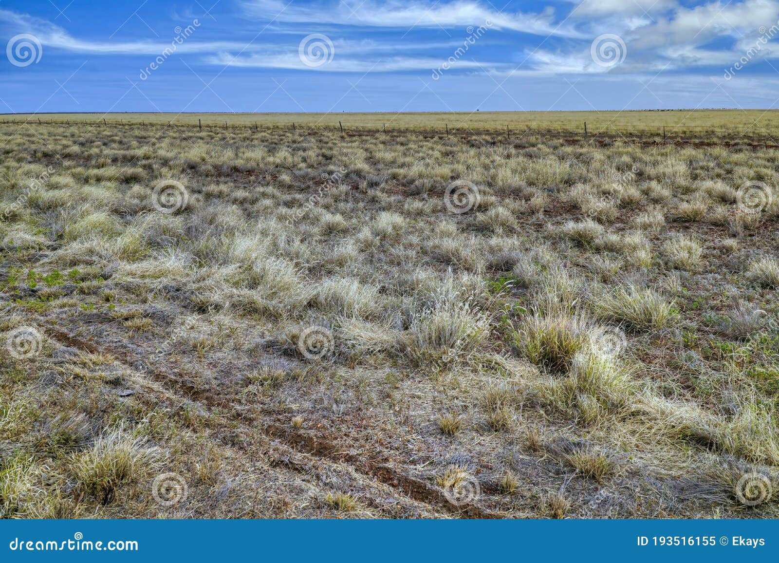 Australian Outback in the Dry Season Stock Image - Image of native ...