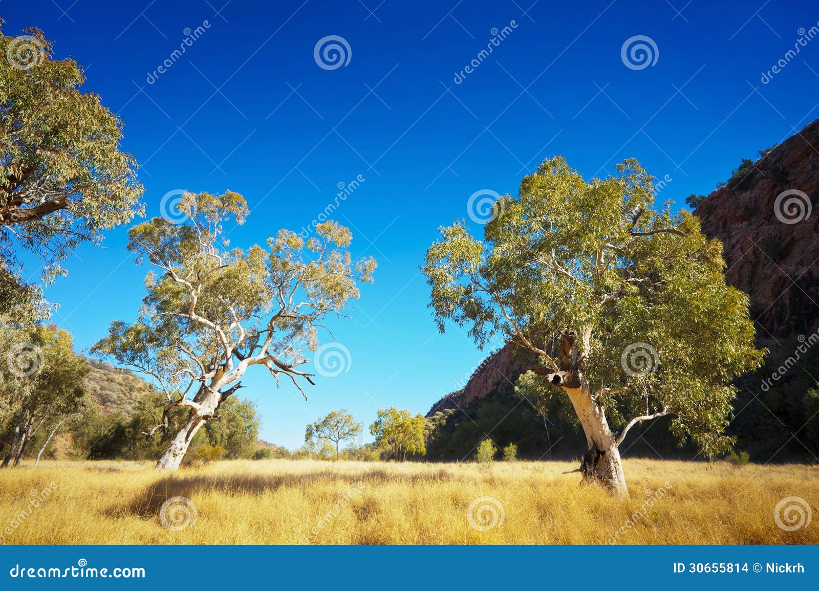 Australian Outback Landscape Stock Photo - Image of blue, peaceful ...
