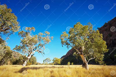 Australian Outback Landscape Stock Photo - Image of blue, peaceful ...