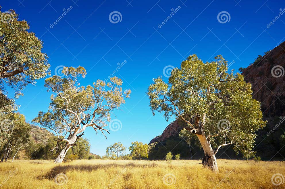 Australian Outback Landscape Stock Photo - Image of blue, peaceful ...