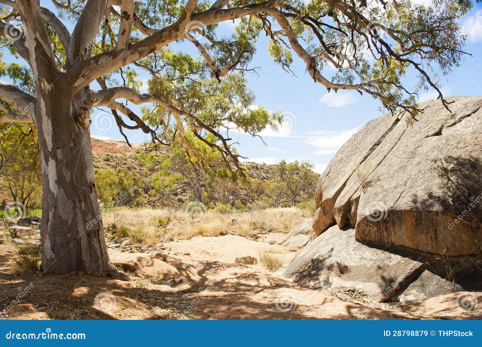 Australian Outback Oasis stock image. Image of adventure - 28798879