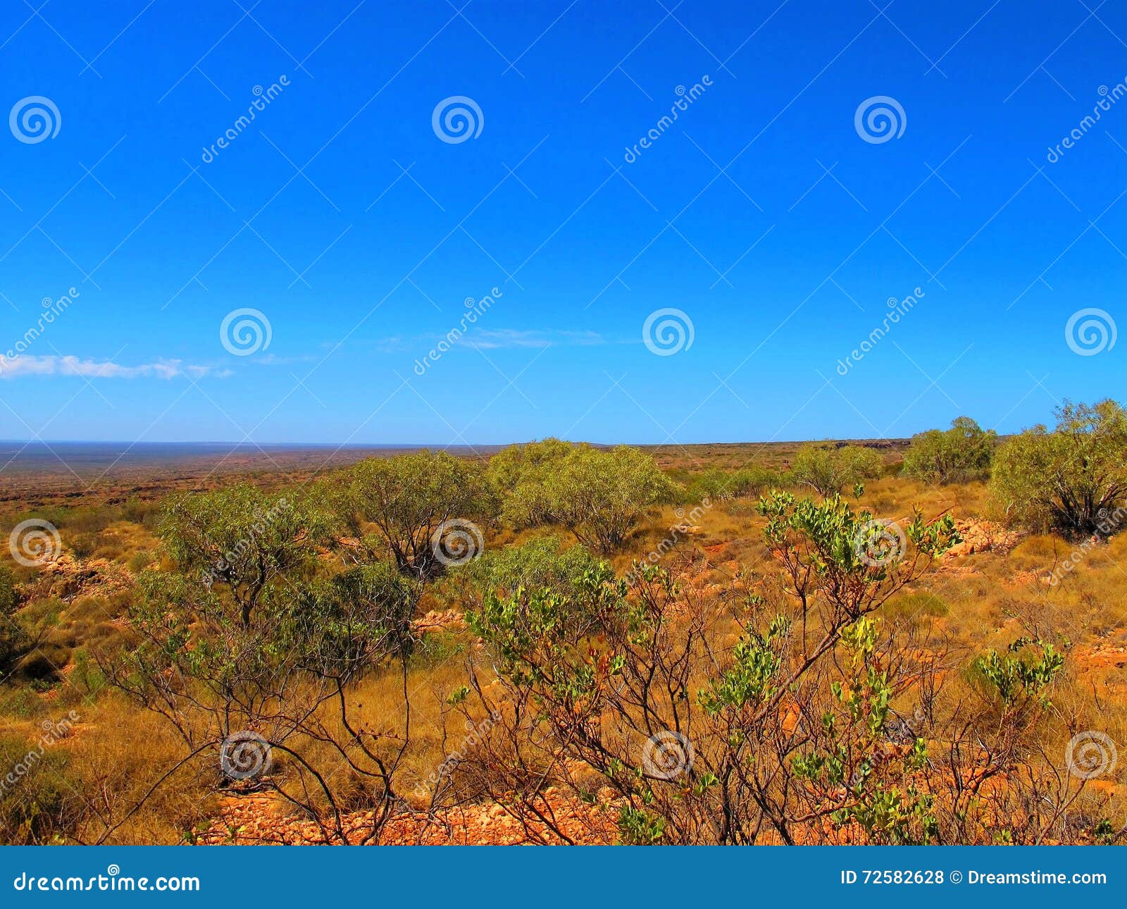 Australian outback scenery stock photo. Image of trees - 72582628
