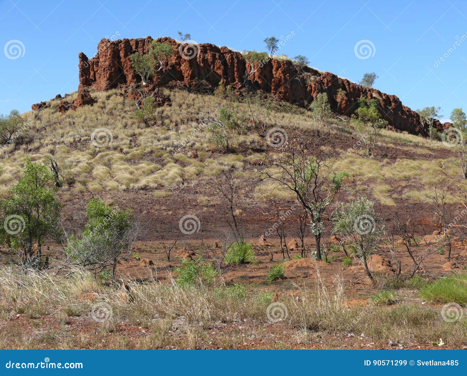Australian outback. stock image. Image of tropics, territory - 90571299