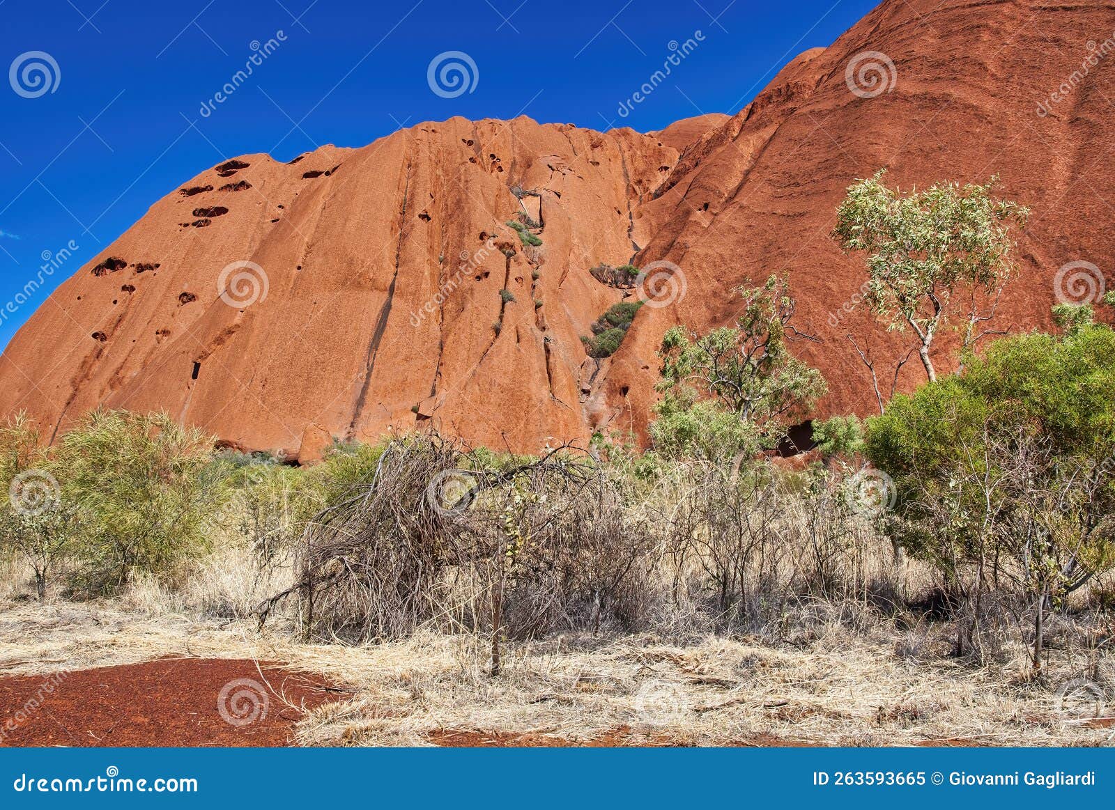 Australian Outback Vegetation and Red Rocks, Northern Territory Stock ...