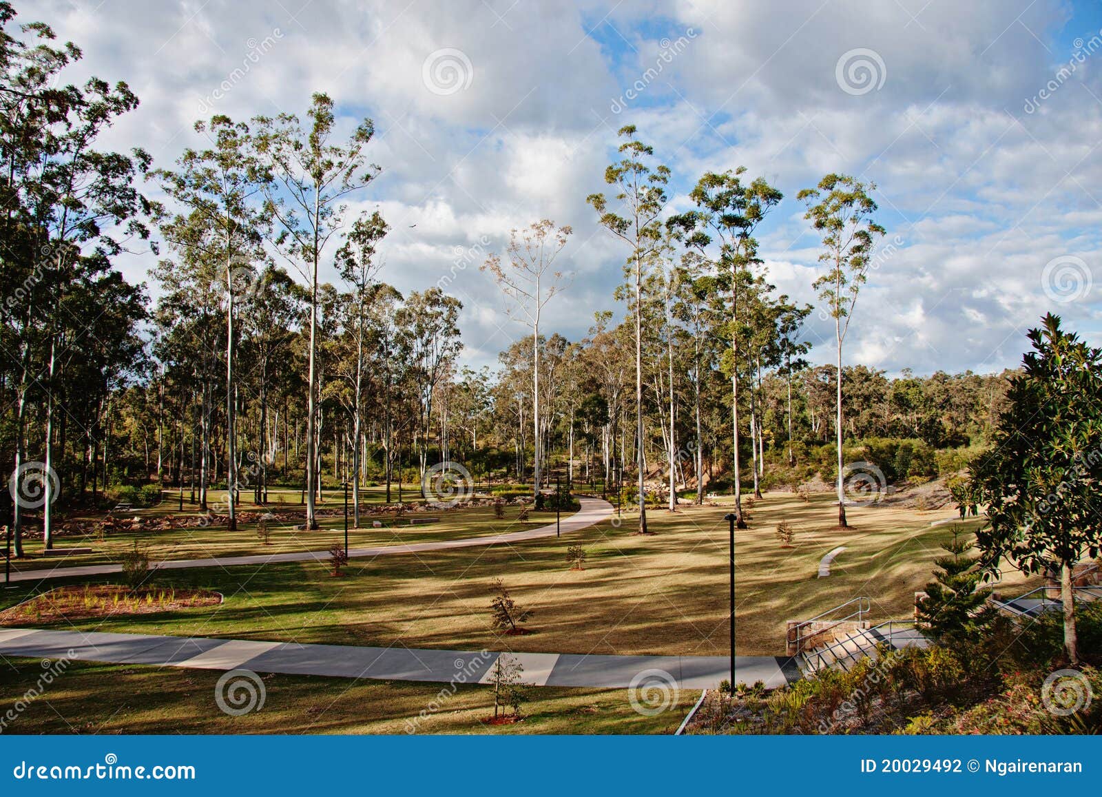An Australian Park stock photo. Image of springfield - 20029492