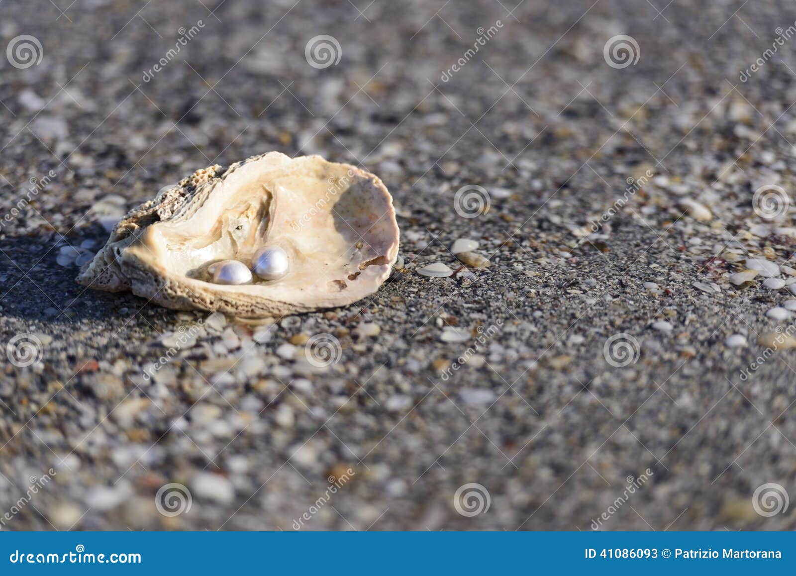 Australian pearls stock image. Image of seashell, perl - 41086093