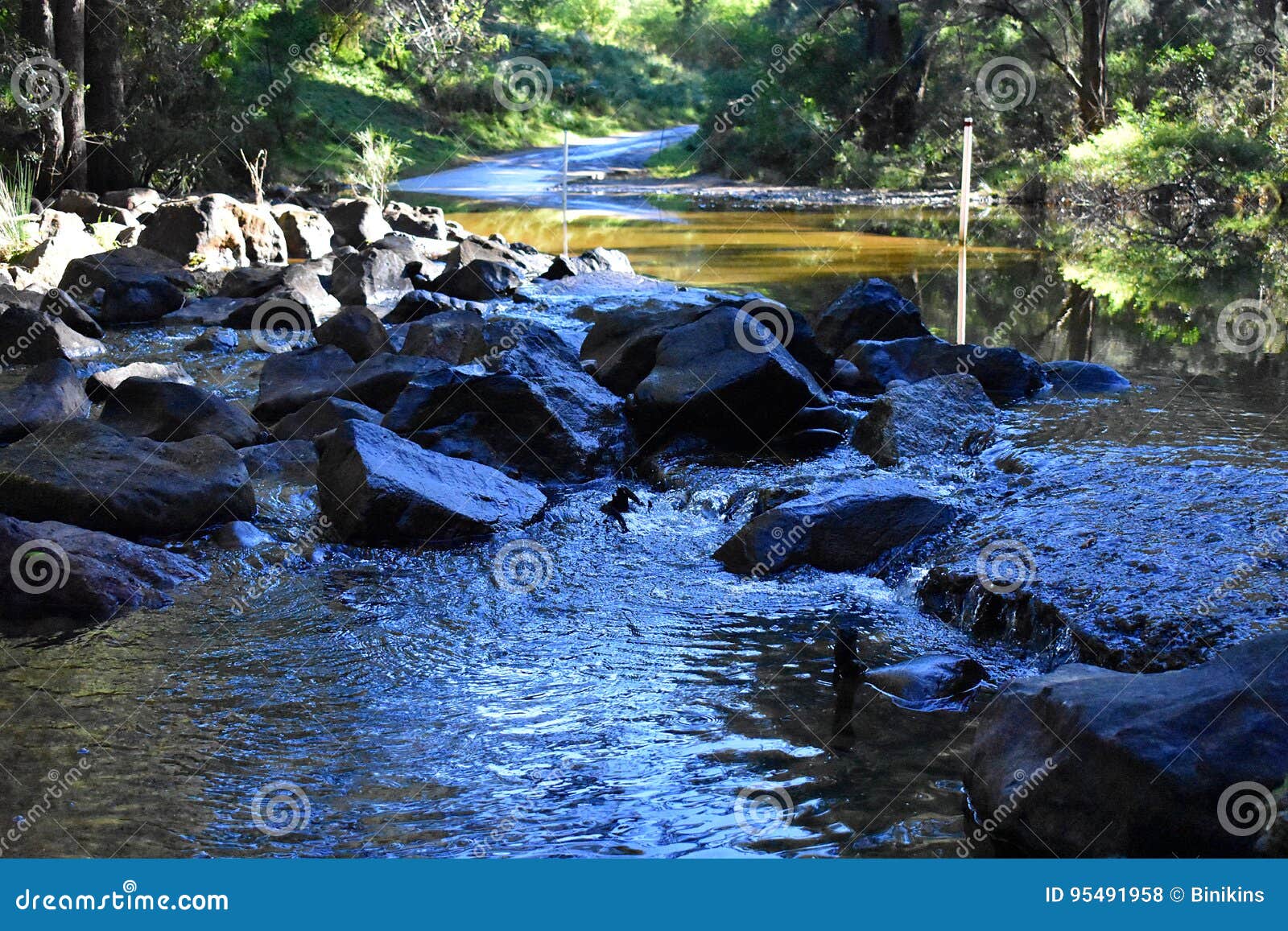 Australian River stock photo. Image of australia, fall - 95491958