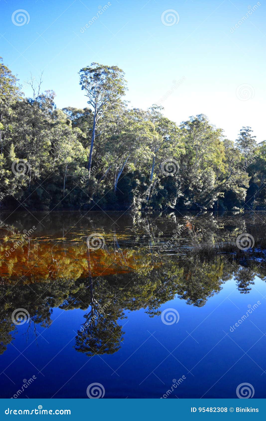 Australian River stock photo. Image of beautiful, color - 95482308