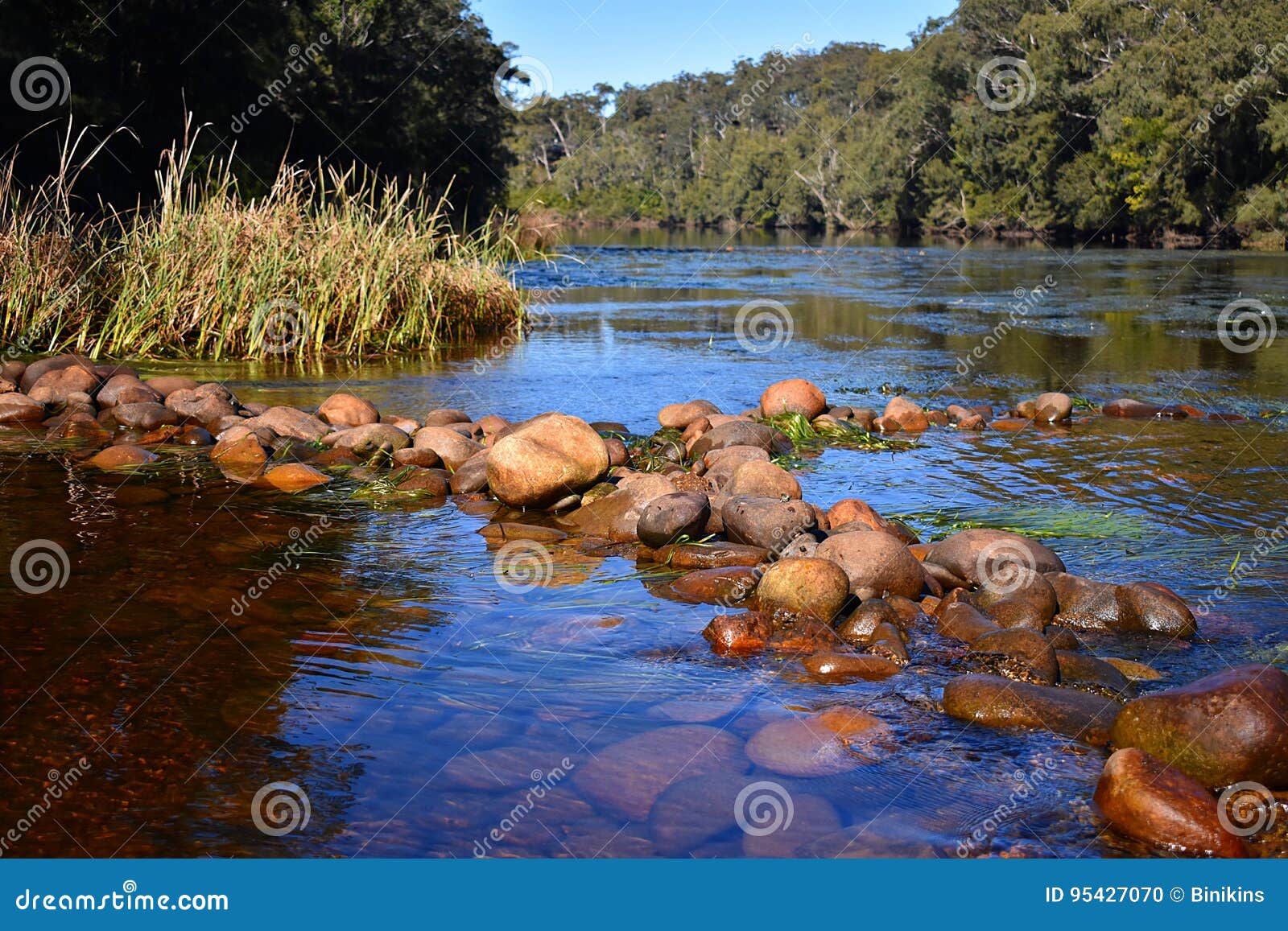 Australian River Royalty-Free Stock Photography | CartoonDealer.com ...