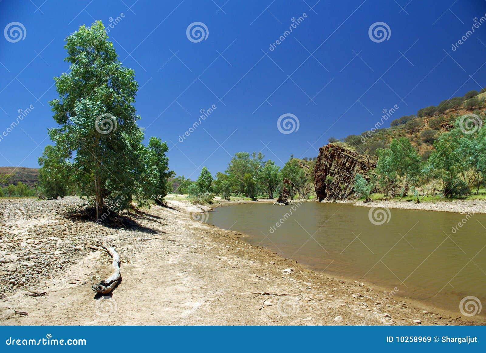 Australian river view stock image. Image of herby, flow - 10258969