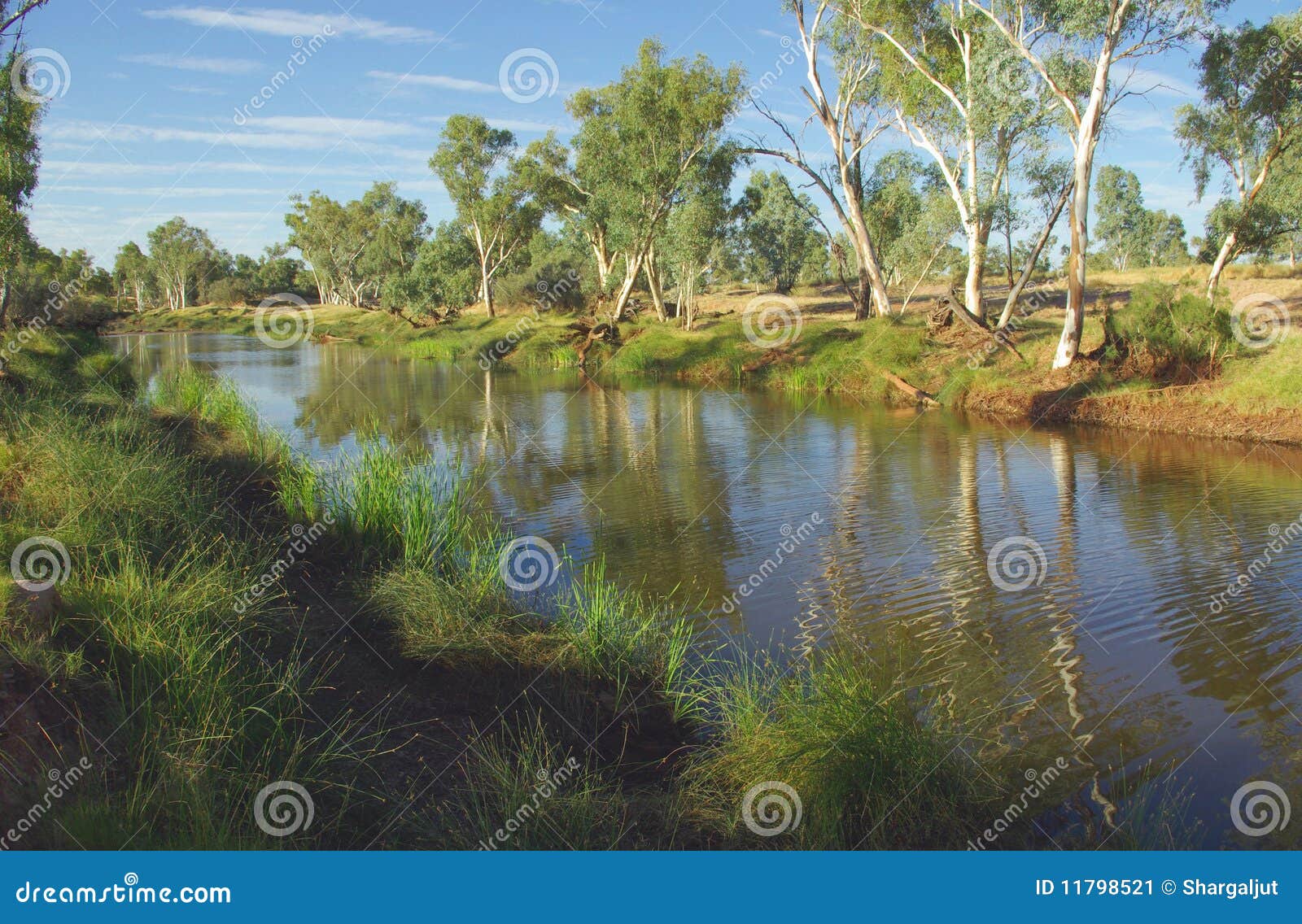 Australian river view stock image. Image of river, territory - 11798521