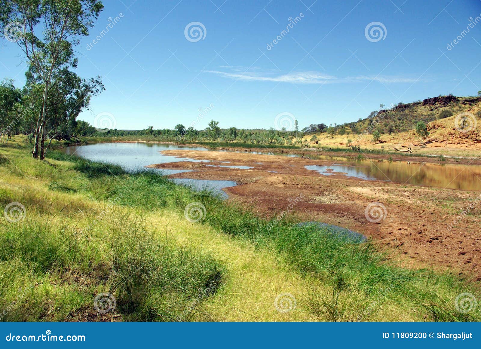 Australian river view stock photo. Image of river, eucalyptus - 11809200