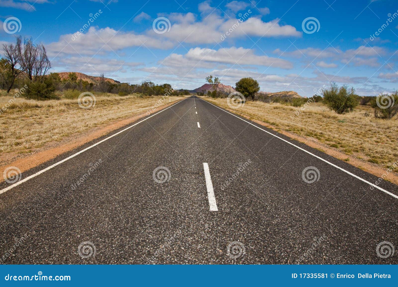 Australian road stock image. Image of traffic, wildlife - 17335581