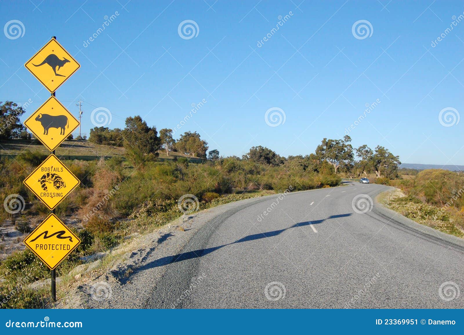 Australian road signs stock image. Image of snake, road - 23369951