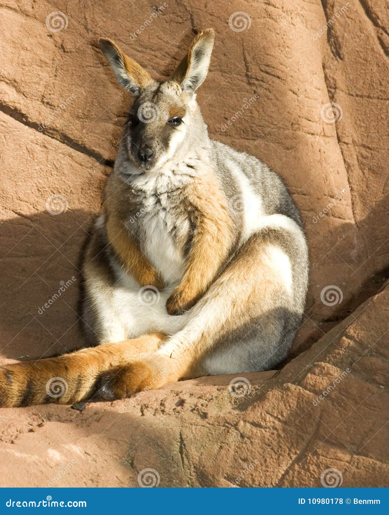 Australian Rock Formation Background, Sandstone Texture Stock Photo ...