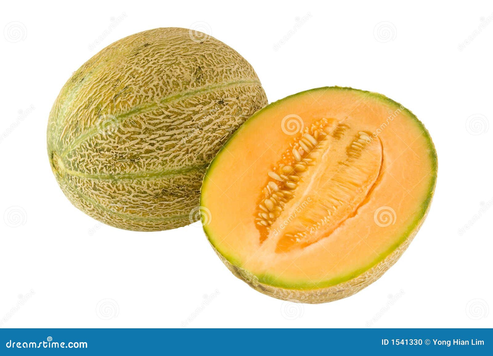 Australian rockmelon stock photo. Image of melon, nature - 1541330