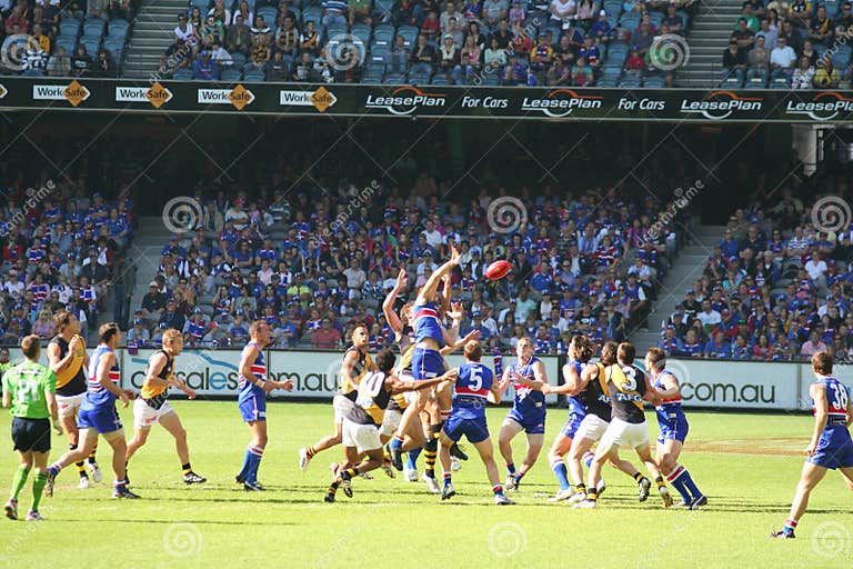 Australian rules football editorial photography. Image of group - 5018702