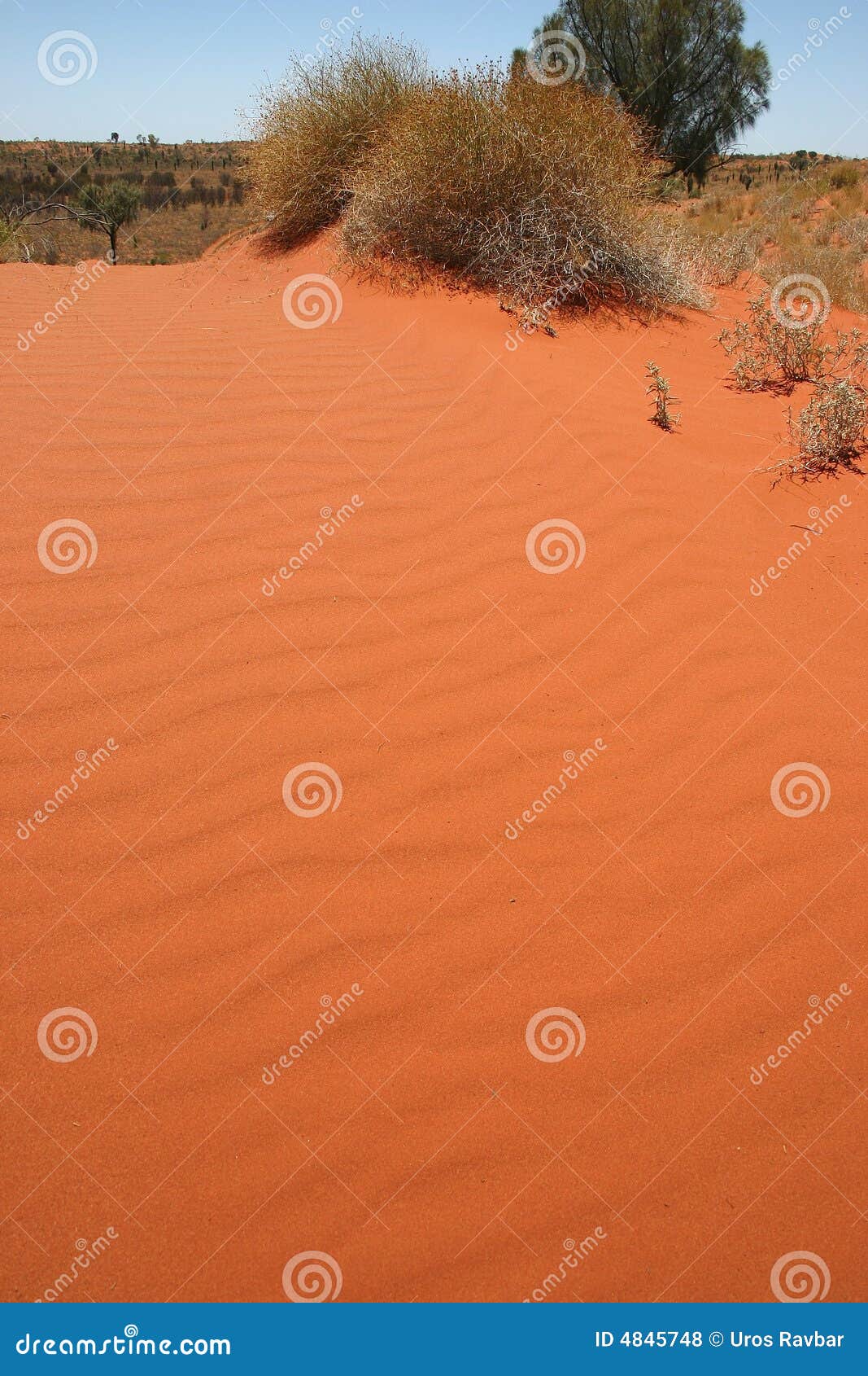 Australian sandbank stock photo. Image of blue, extreme - 4845748